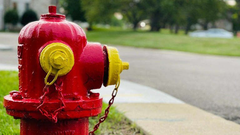 Tybee Island invites residents to paint fire hydrants for America250 ...