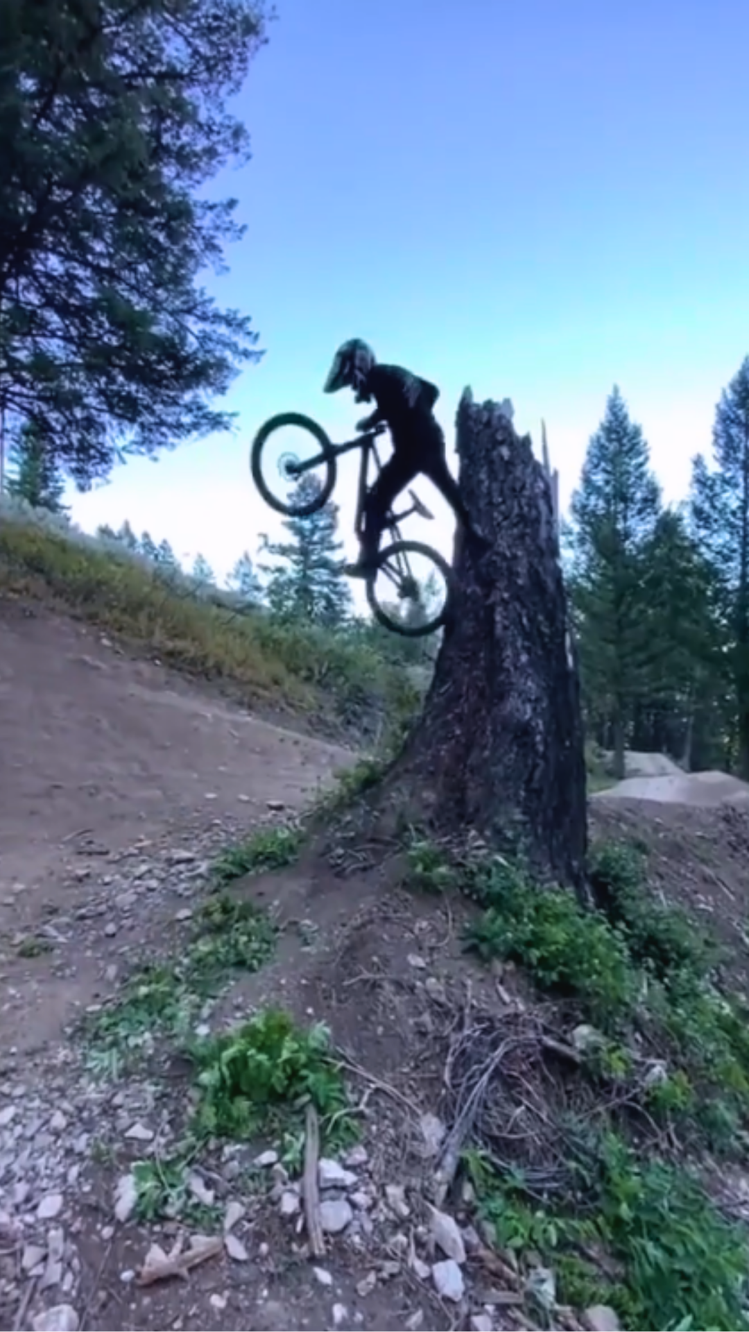 MTB vs standing tree trunk challenge