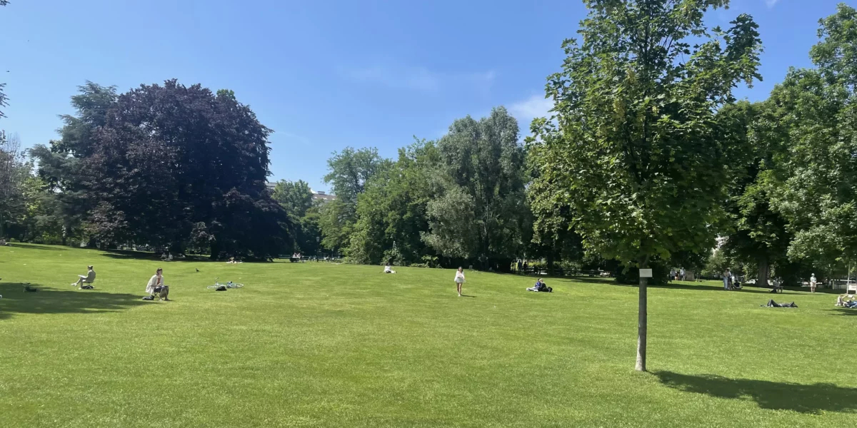 Sonne pur in Wien: Temperaturen steigen auf 33 Grad