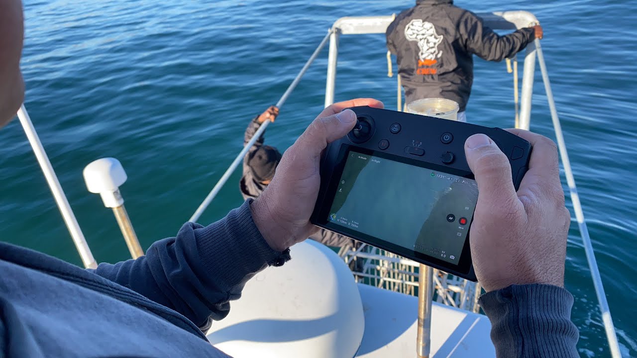 Heart-stopping drone rescue & rare orca sighting in Mossel Bay | South ...