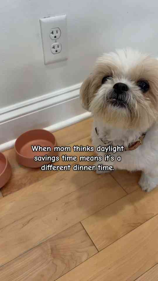 Stella's honest reaction to daylight savings time