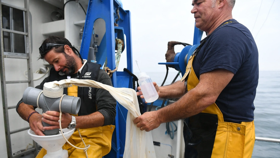 Climate change impacts on ocean nutrient cycles