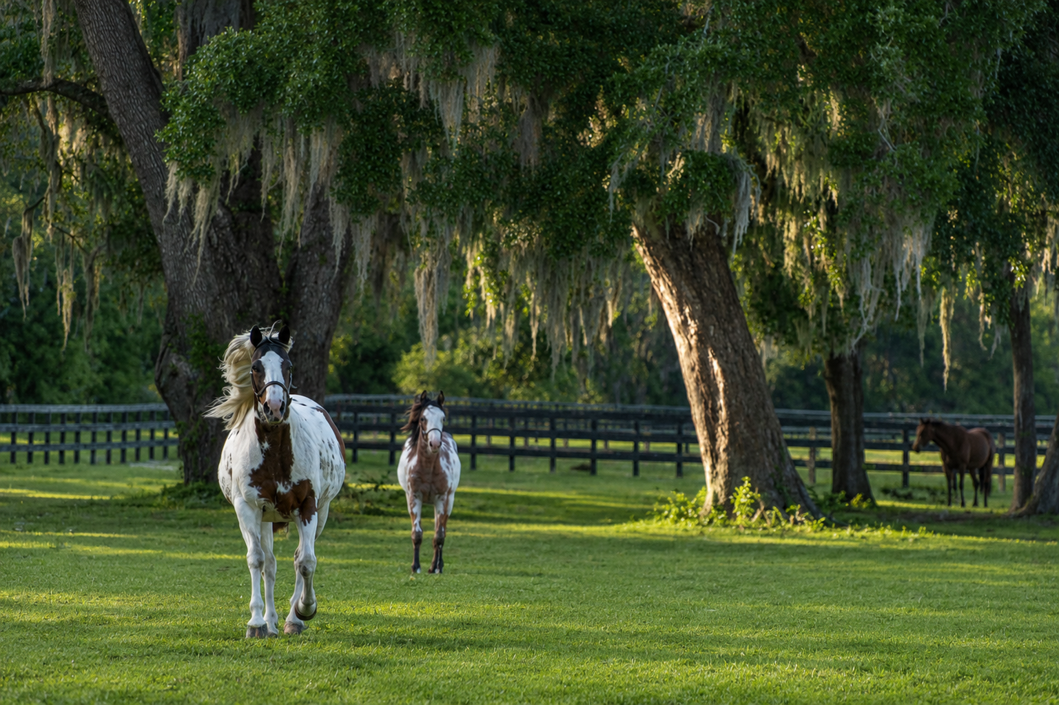 New plans at Bel-Lago keep 'Old Florida' feel at center