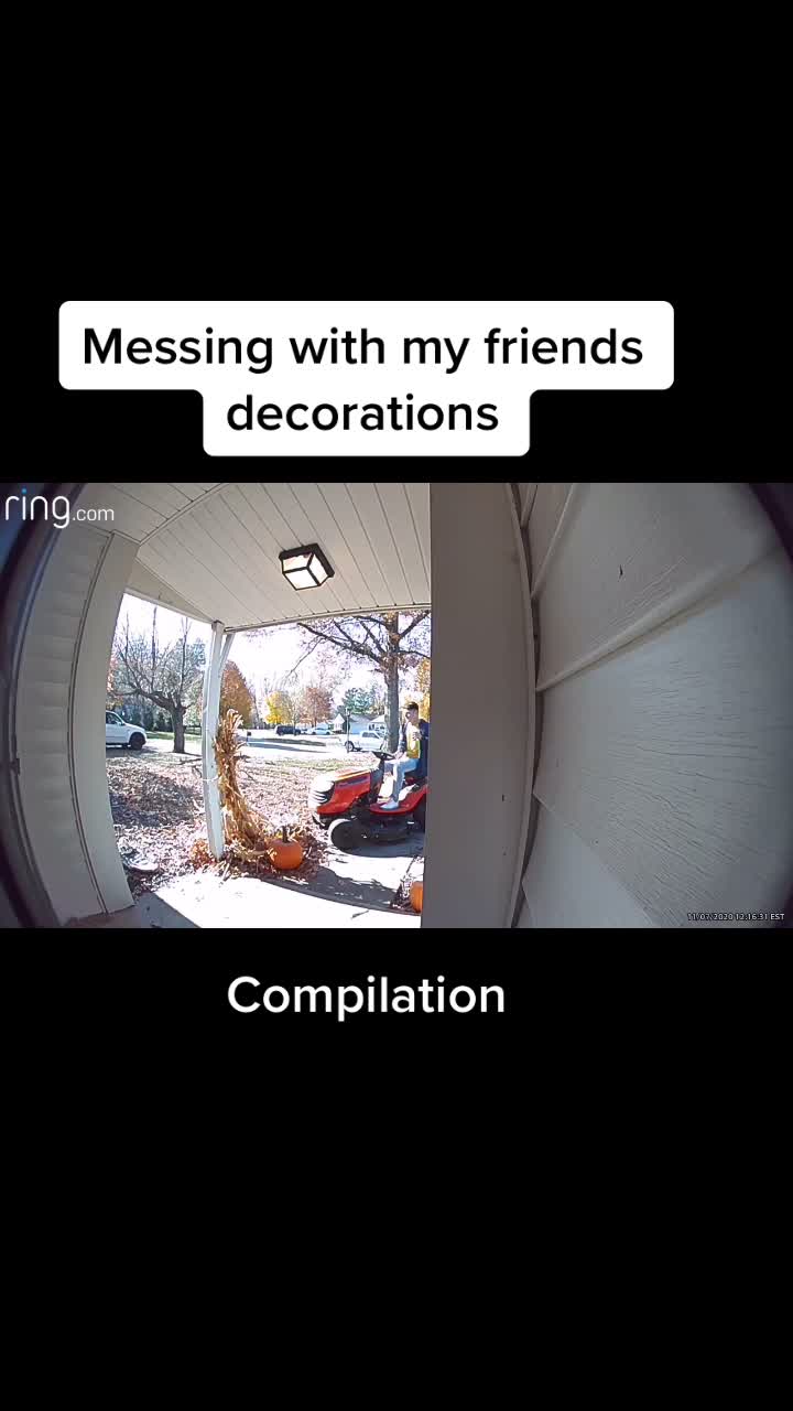 Doorbell cam catches friends wrecking my fall decorations