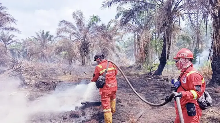 141 hotspot terdeteksi di Sumatera, Riau sumbang 13 titik