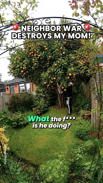Evil neighbor cut down her late mother's tree - then laughed about it