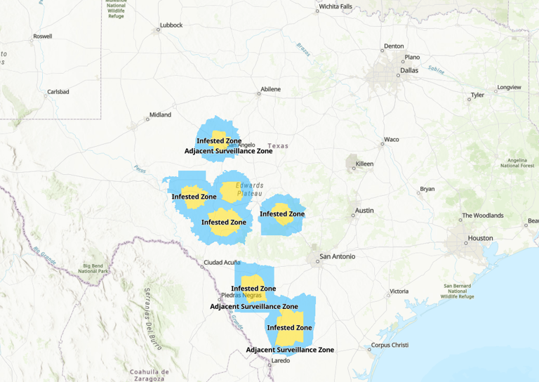 New World screwworm continues to spread in Texas as US hits 15 cases