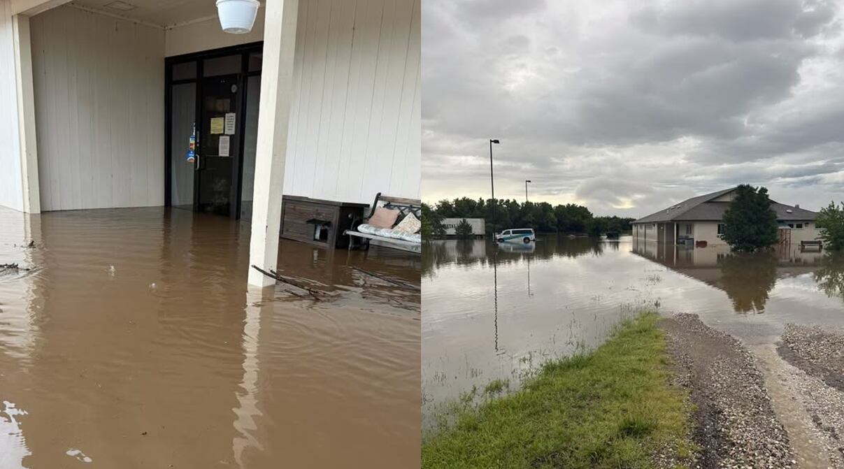 Dogs evacuated from Cowley County Humane Society due to flooding