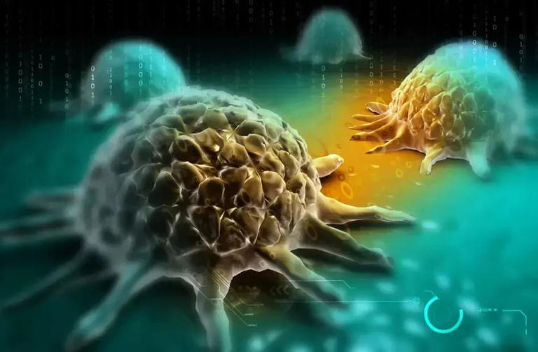 Even one drink a day raises cancer risk