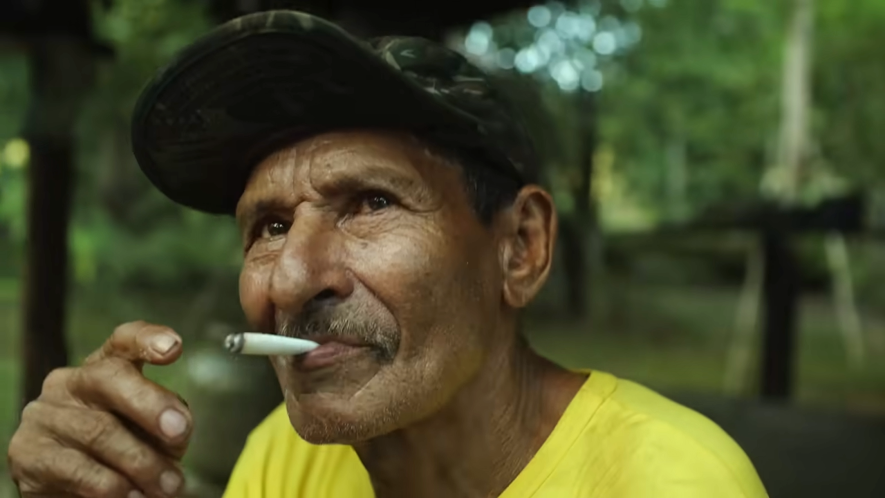 1 man. 39 years. 1,500 planted Amazon trees - then they came for his land