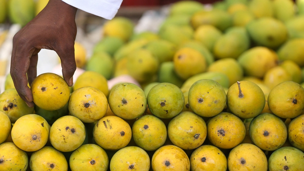 Identifying, ripening, and storing mangoes