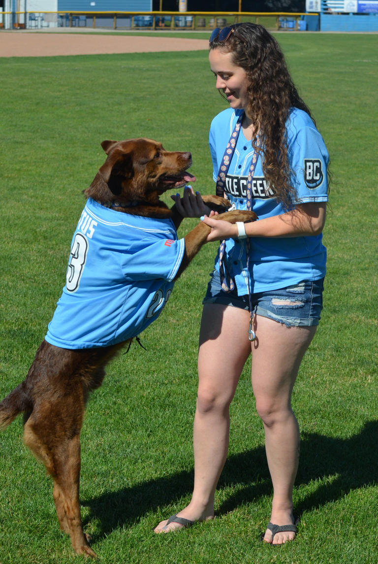 Brutus 'the bat dog' enjoying one final season with the Battle Jacks