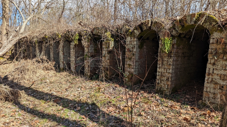 Between Columbus and the West Virginia border is Ohio's state forest ...