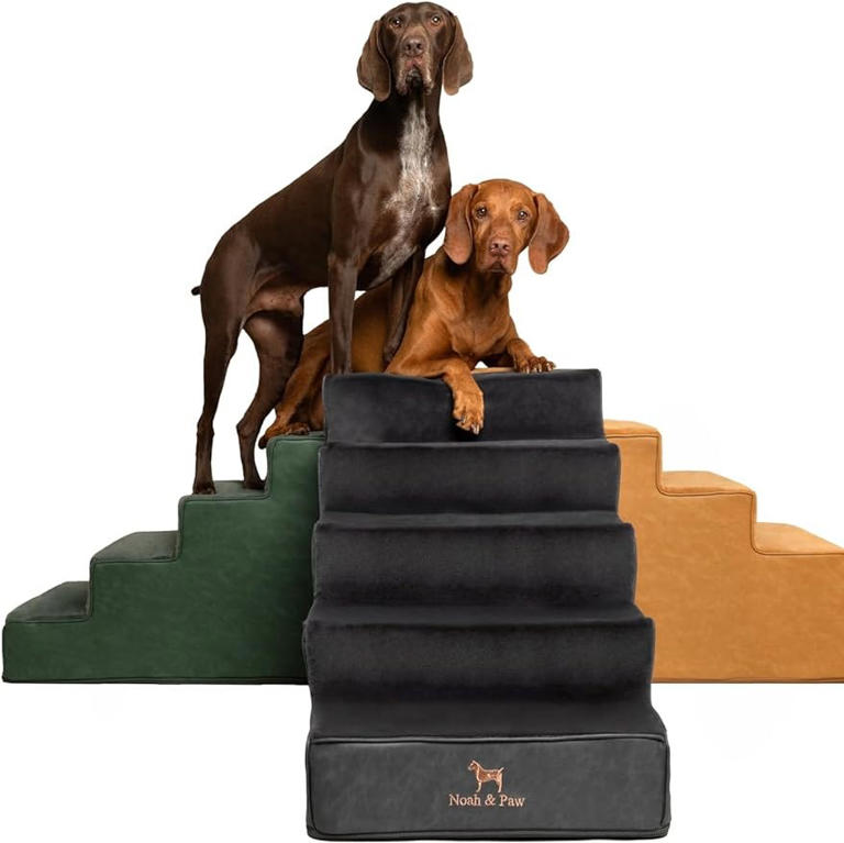 Amazon drops Prime Day deals on essential summer dog travel gear