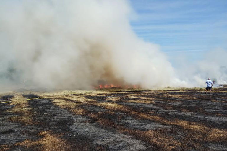 'Avoid the area' warning issued as multiple crews tackle large field fire
