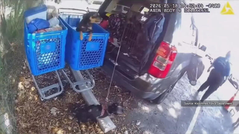 Kissimmee police rescue 24 dogs from hot vehicle
