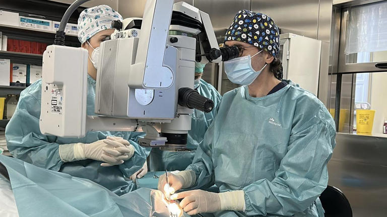 Cagliari capitale mondiale della cornea, trapianti in diretta e mille ...