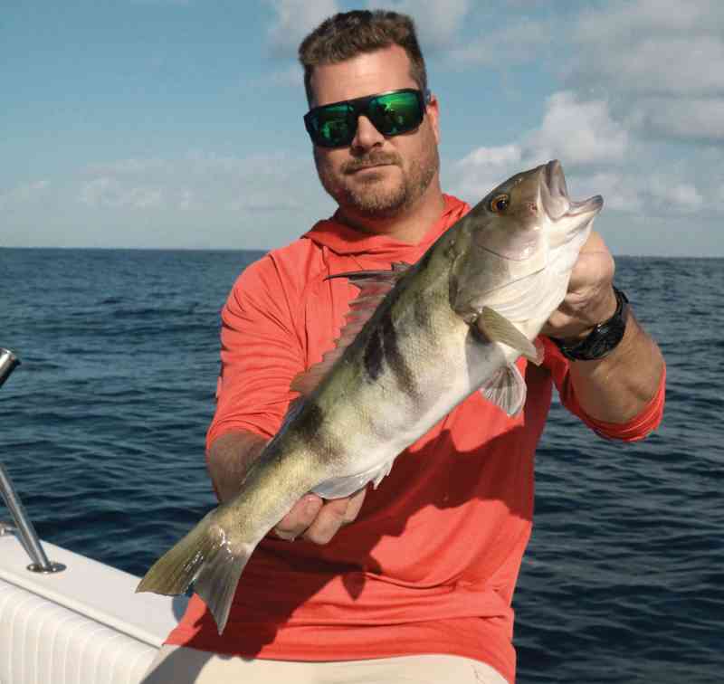 Basic techniques for targeting barred sand bass