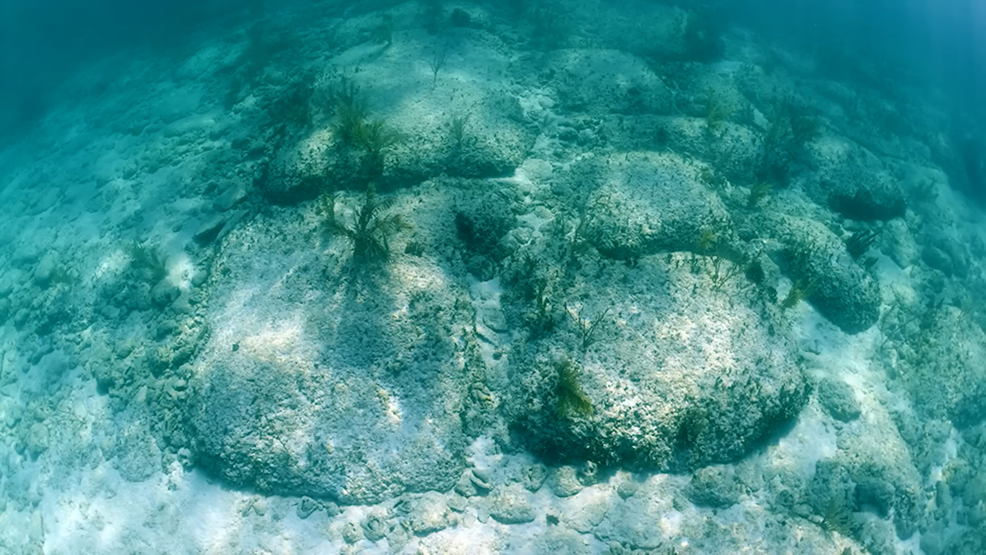 Why the Bimini Road is not evidence for Atlantis or a lost Ice Age ...