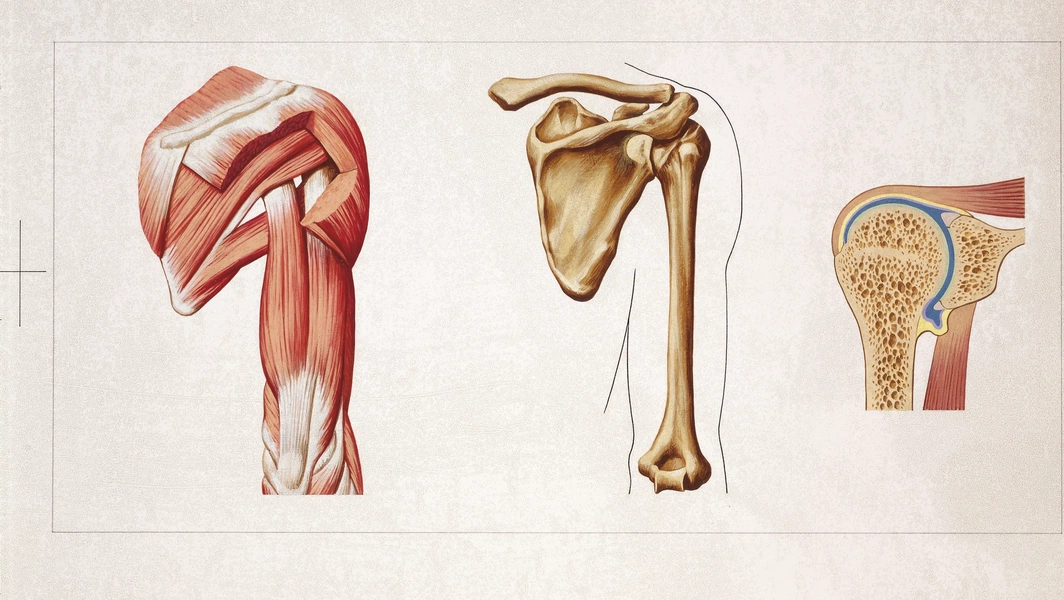 Preventing and strengthening the rotator cuff