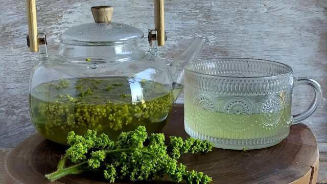 Staghorn sumac blossom tea had a surprisingly familiar taste: hard ...