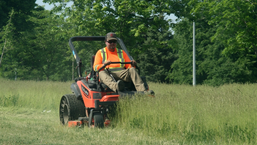 Preventing and treating common lawn diseases