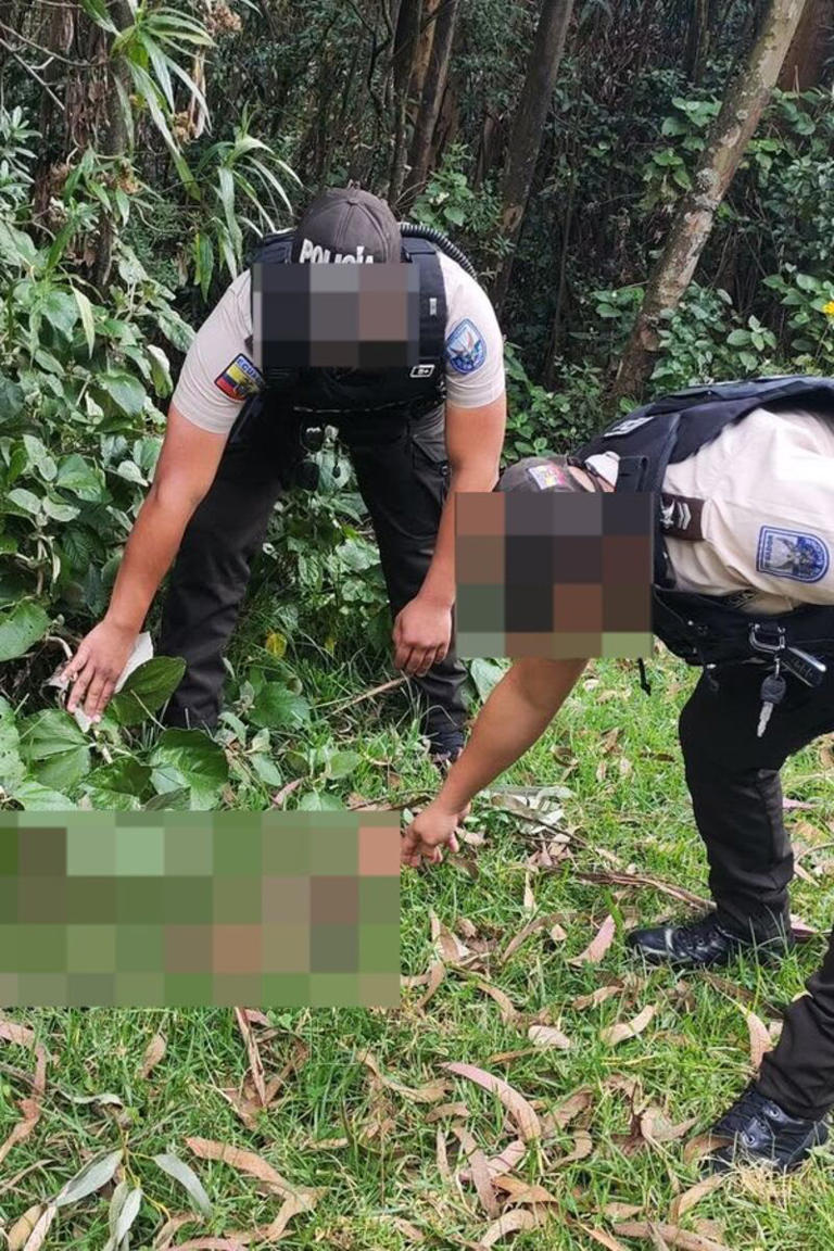 Dos armas de fuego fueron halladas abandonadas en distintos sectores de ...