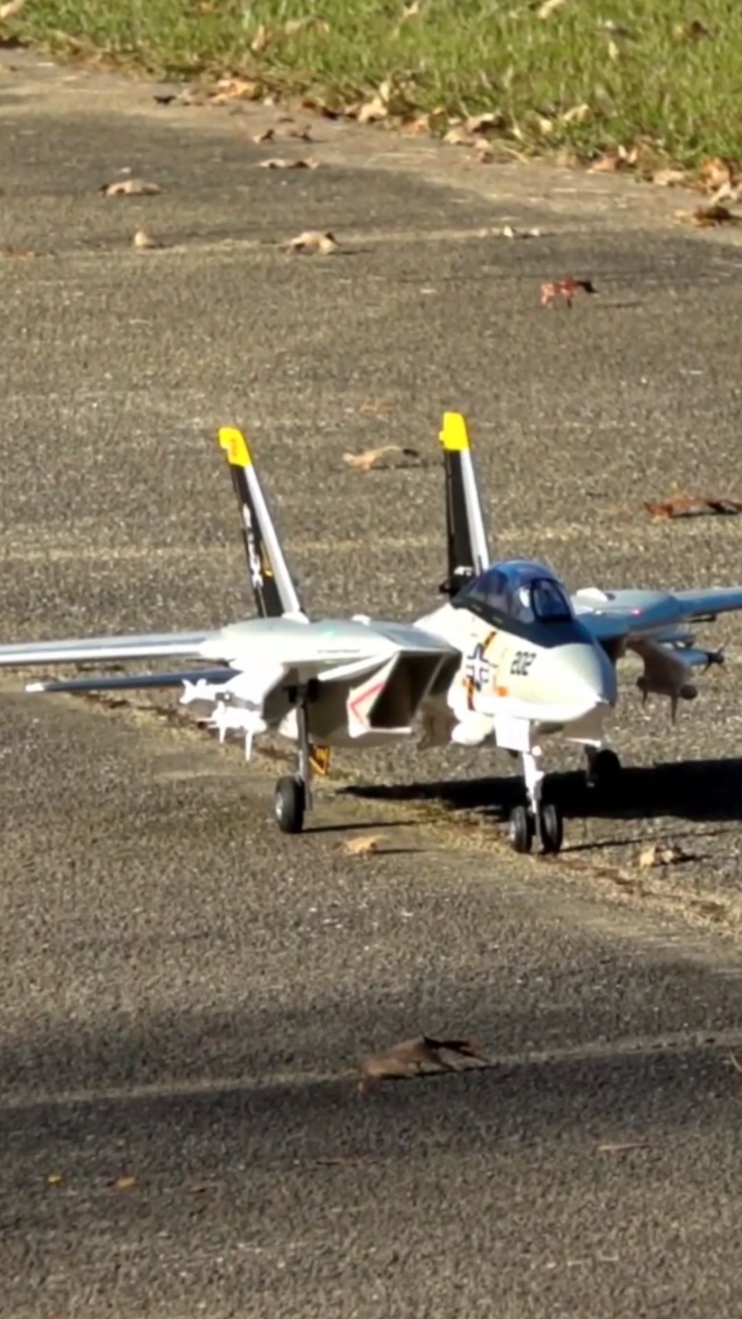 RC aviation F-14 Tomcat sweep wing technology in action