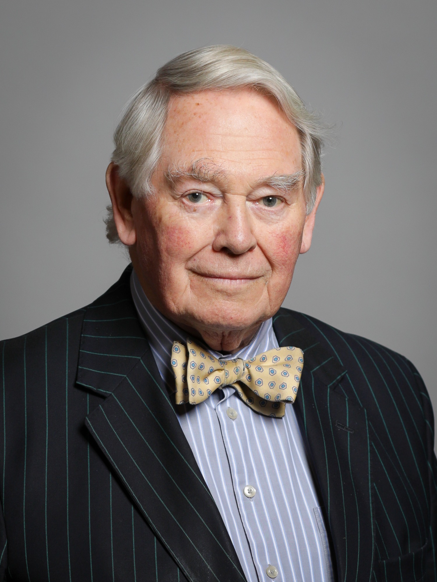 Cromwell: Parliament's crusading politician by Michael Naseby