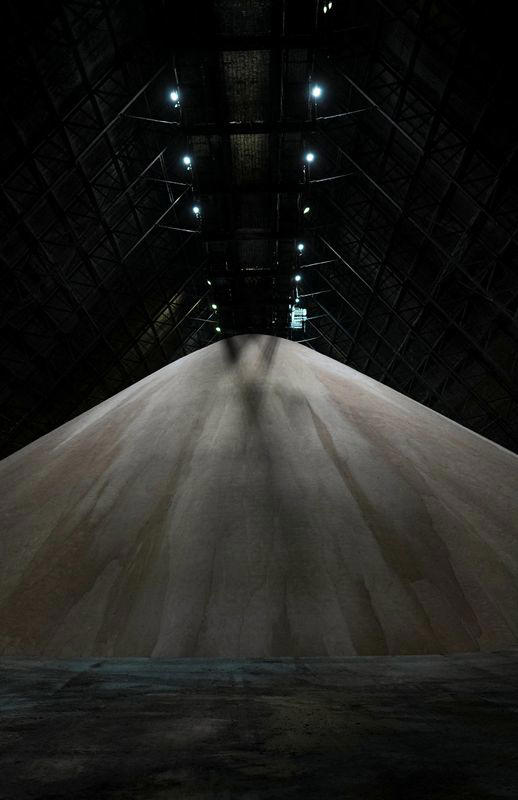 Produção de açúcar cai 2% em 2 meses da safra do centro-sul, fabricação ...