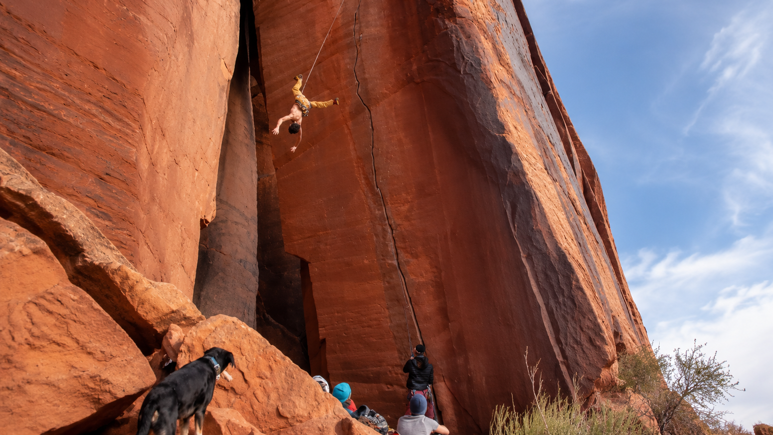 He let go and fell off a cliff - as his friends watched in horror