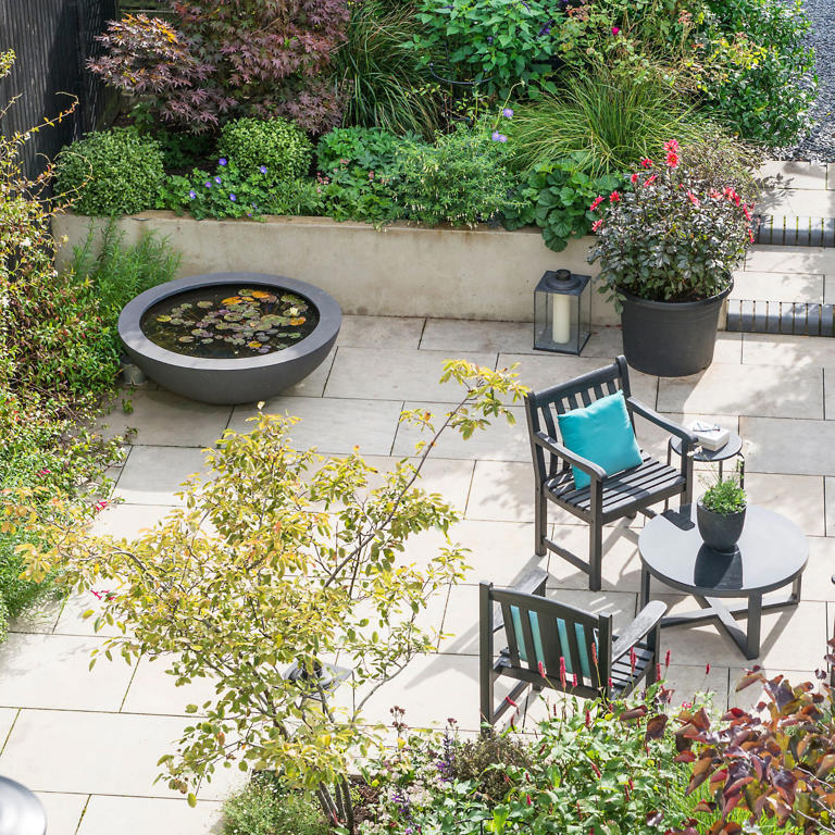 Micro ponds are the wildlife-friendly trend that turns tiny gardens ...