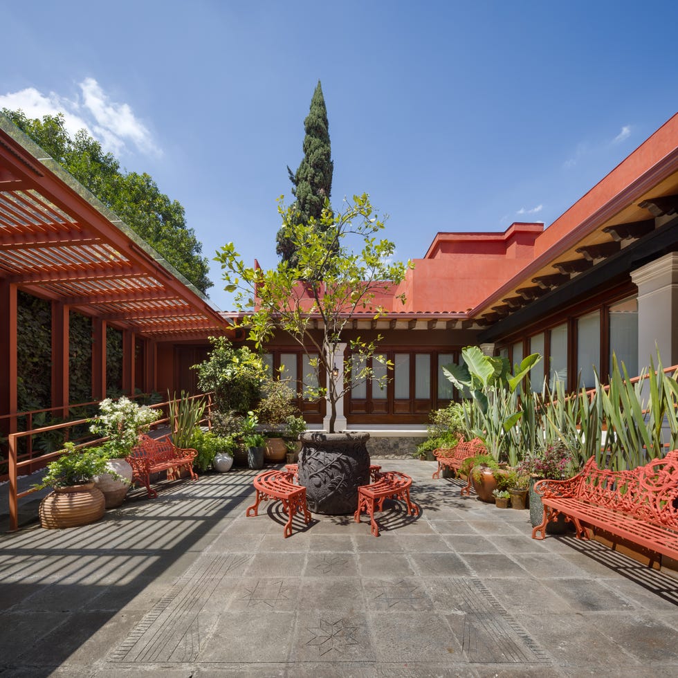 7 bold features of Frida Kahlo’s Casa Azul that can lift up your summer ...