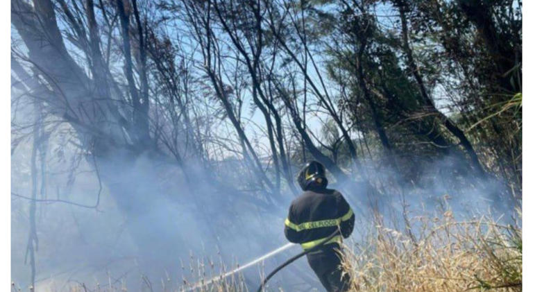 Allarme sulle colline tra Fano e Pesaro, fiamme in un campo di grano ...
