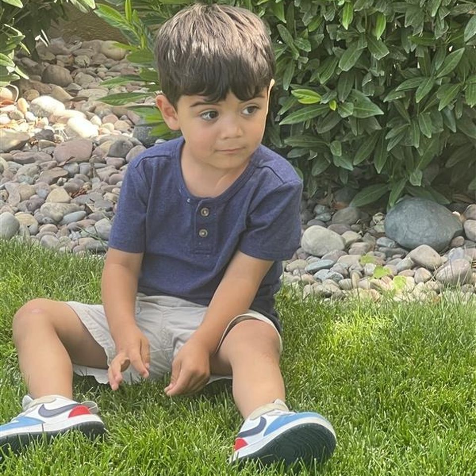 Boy, 3, crushed to death by park monument was rushed to hospital where ...
