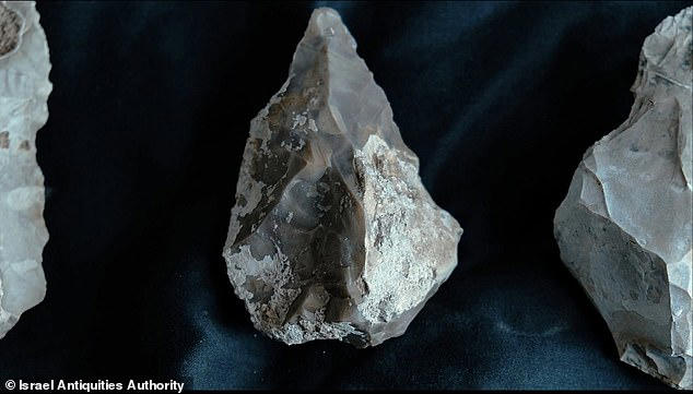 Lost chapter of human evolution exposed after 300,000-year-old cave ...