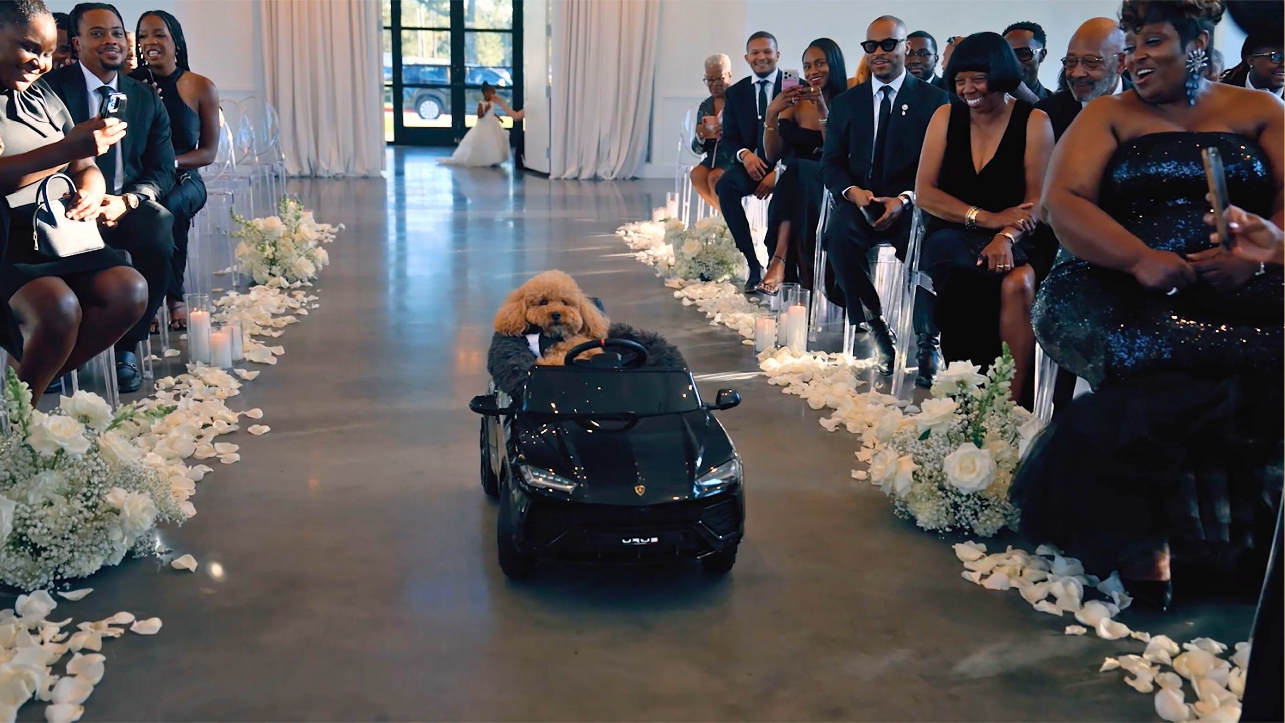 Bride and groom's dog steals the show when he comes down aisle in car ...