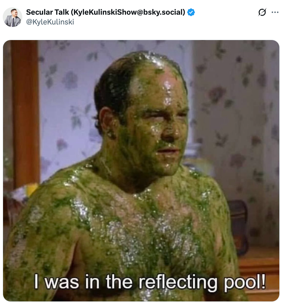 Literally just 28 great jokes about the Reflecting Pool disaster