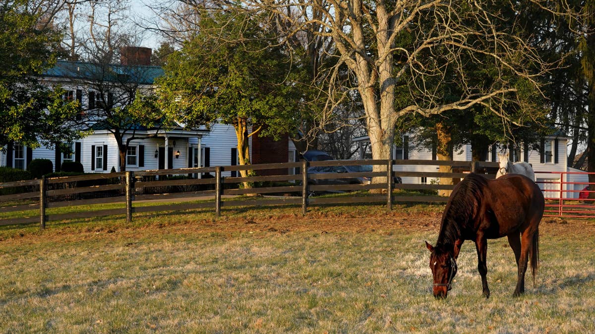 TRF board member Michelle Keating establishes $25,000 matching gift ...