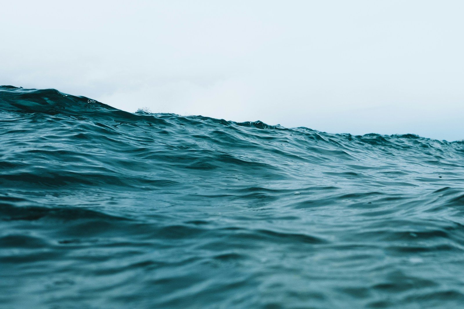 Scientists are disturbed by strange noises coming from the depths of ...