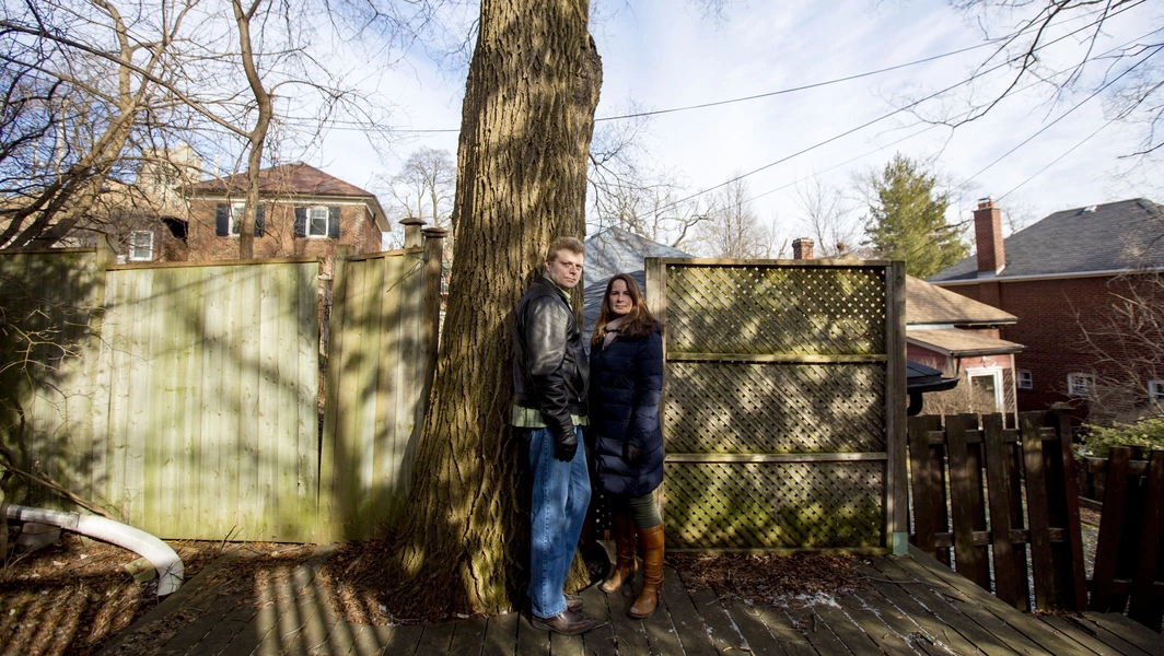 Laws and liabilities for trees on property lines