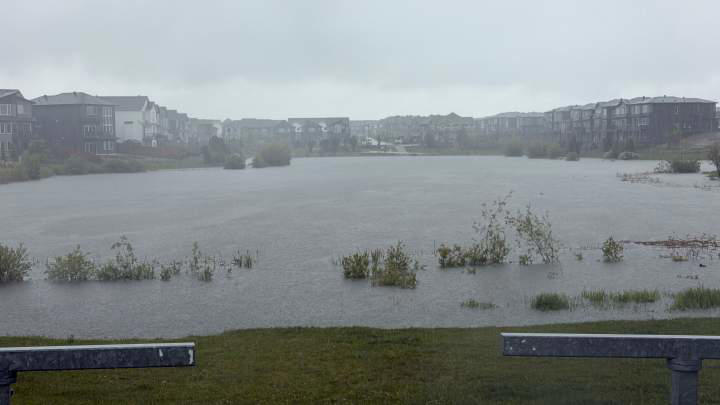 Edmonton region under emergency alerts as rainfall pushes stormwater ...