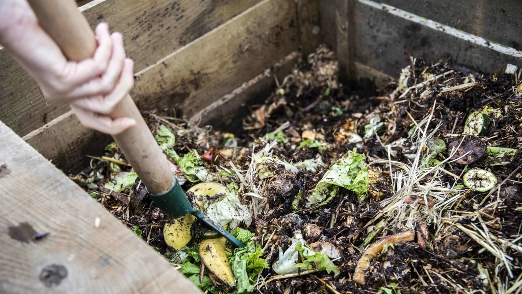 Nitrogen’s role in composting and soil health