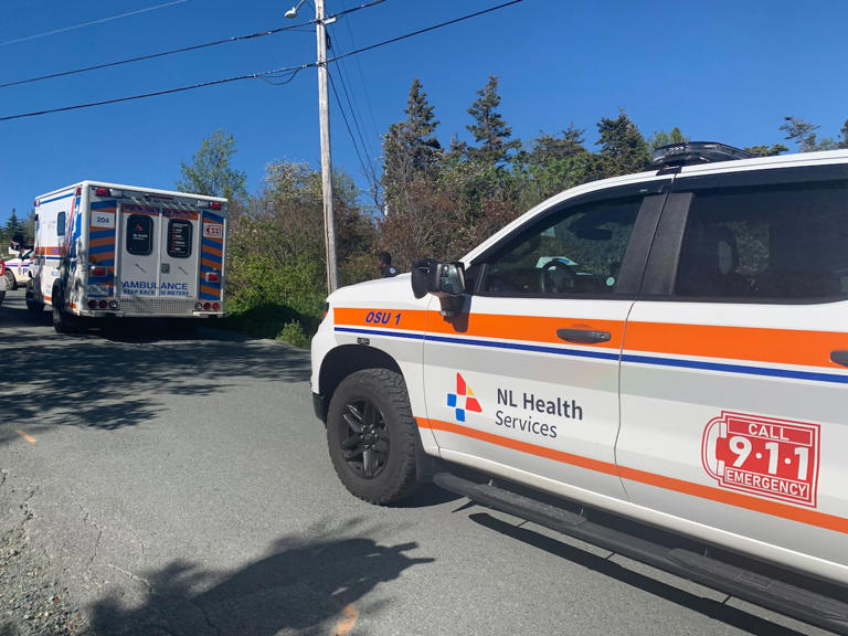 Shelter-in-place order lifted for part of Portugal Cove-St. Philips: police