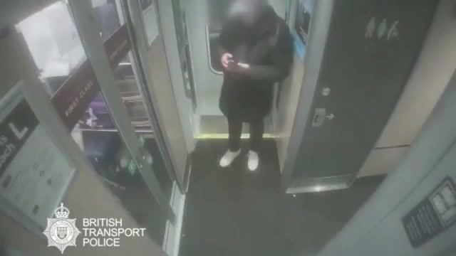 Brazen luggage thief who stole bags from unsuspecting passengers