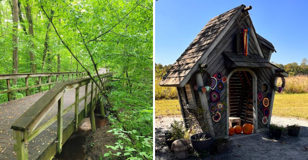 This little-known Maryland arboretum offers miles of peaceful trails ...