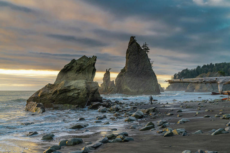 Time is running out to visit Olympic National Park's best coastal hike
