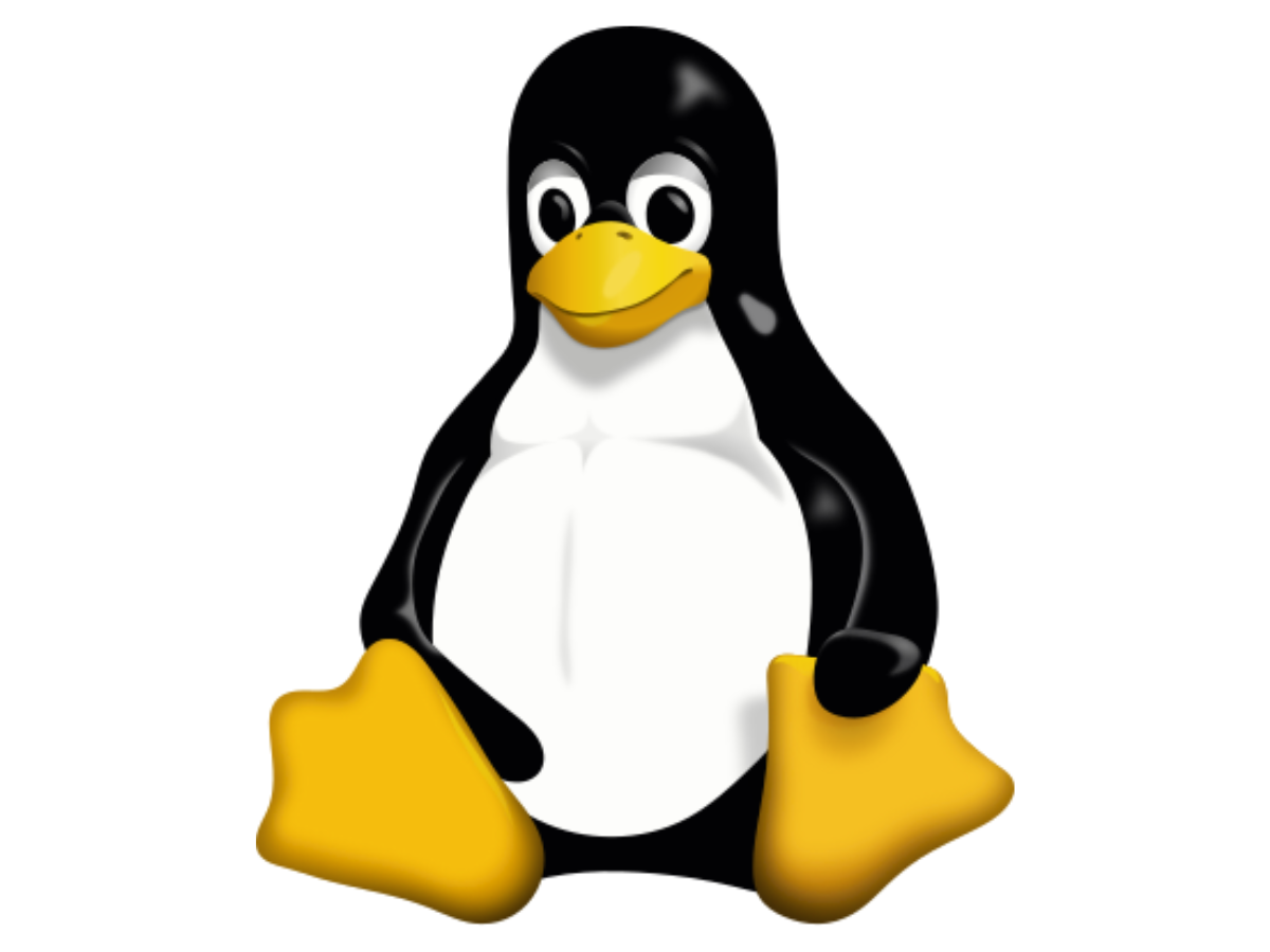 In 1991, Linus Torvalds shared a small operating system project online ...
