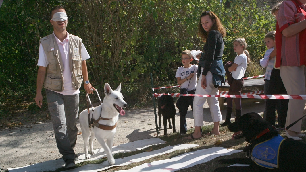 Inspiring journeys of blind rescue dogs
