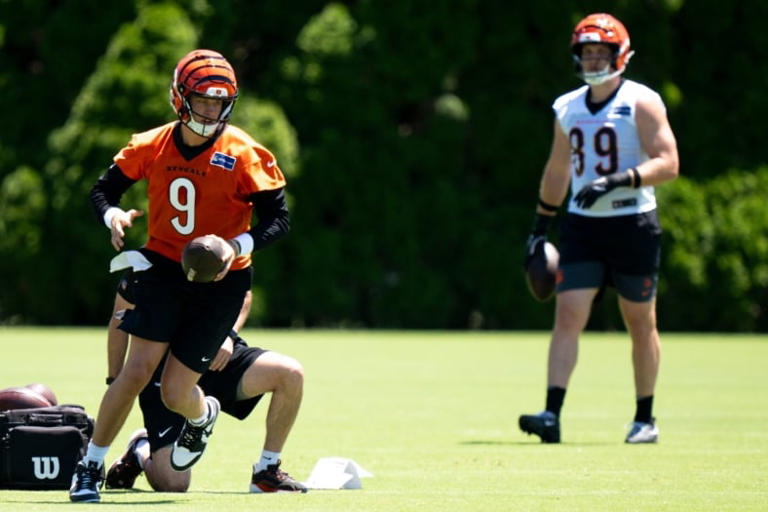 Zac Taylor being fired: NFL analyst reveals Cincinnati Bengals worst ...